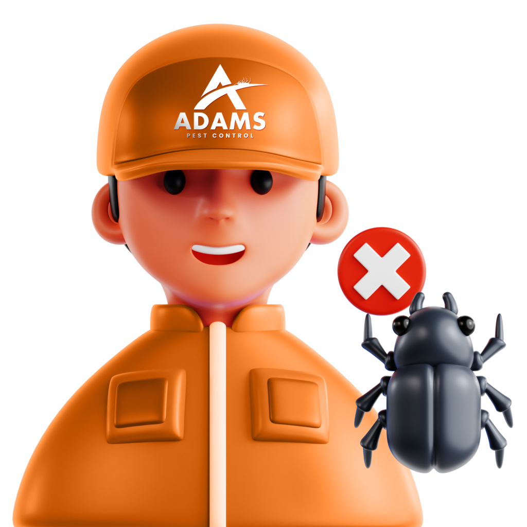 Home - Adams Pest Control